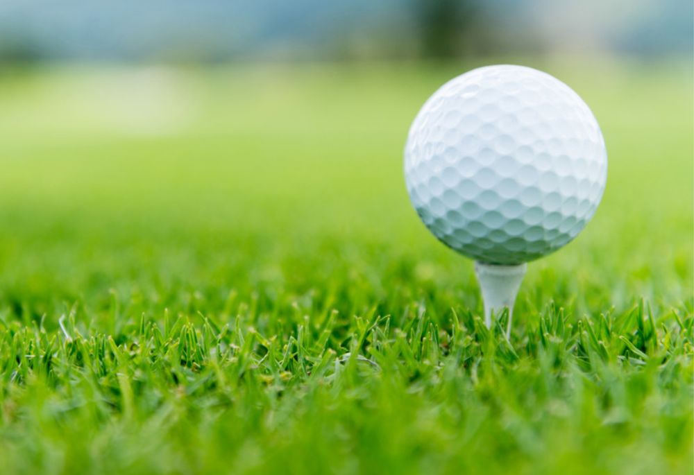 Attorneys Jason Reese and Stephen Wagner to Participate in Charity Golf ...